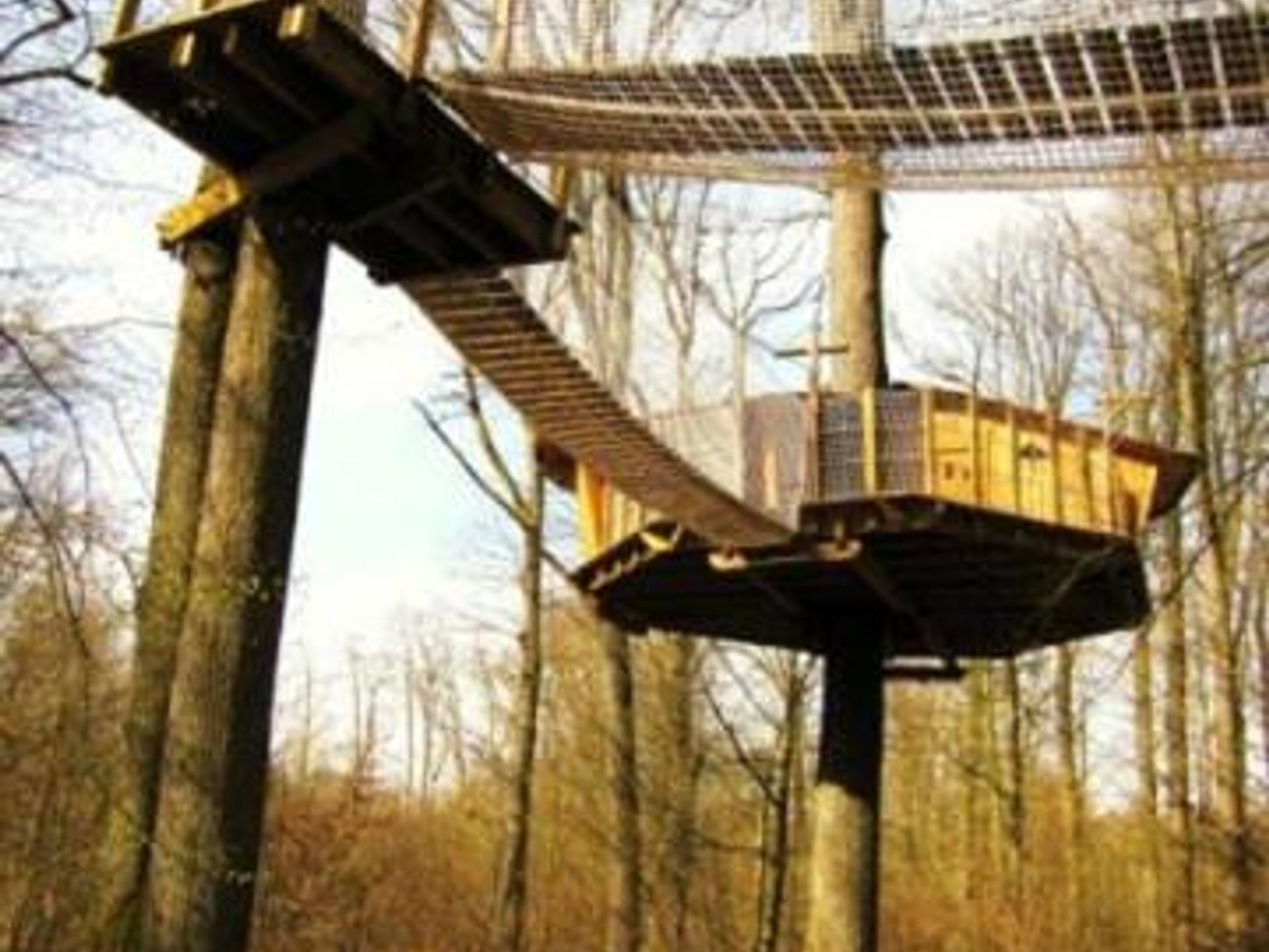 Cabane éCureuil - Département Marne