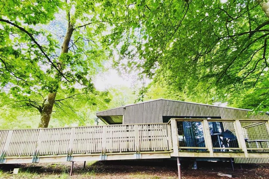 Chalet-lodge Premium & Spa - Cotentin