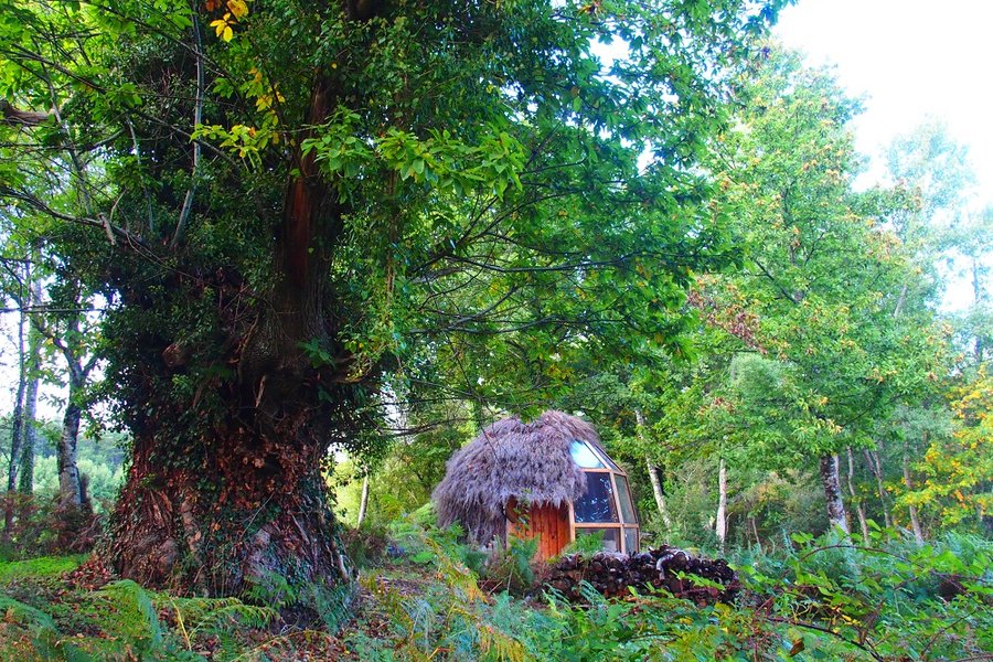 Le Cul De Loup - Lamotte-Beuvron