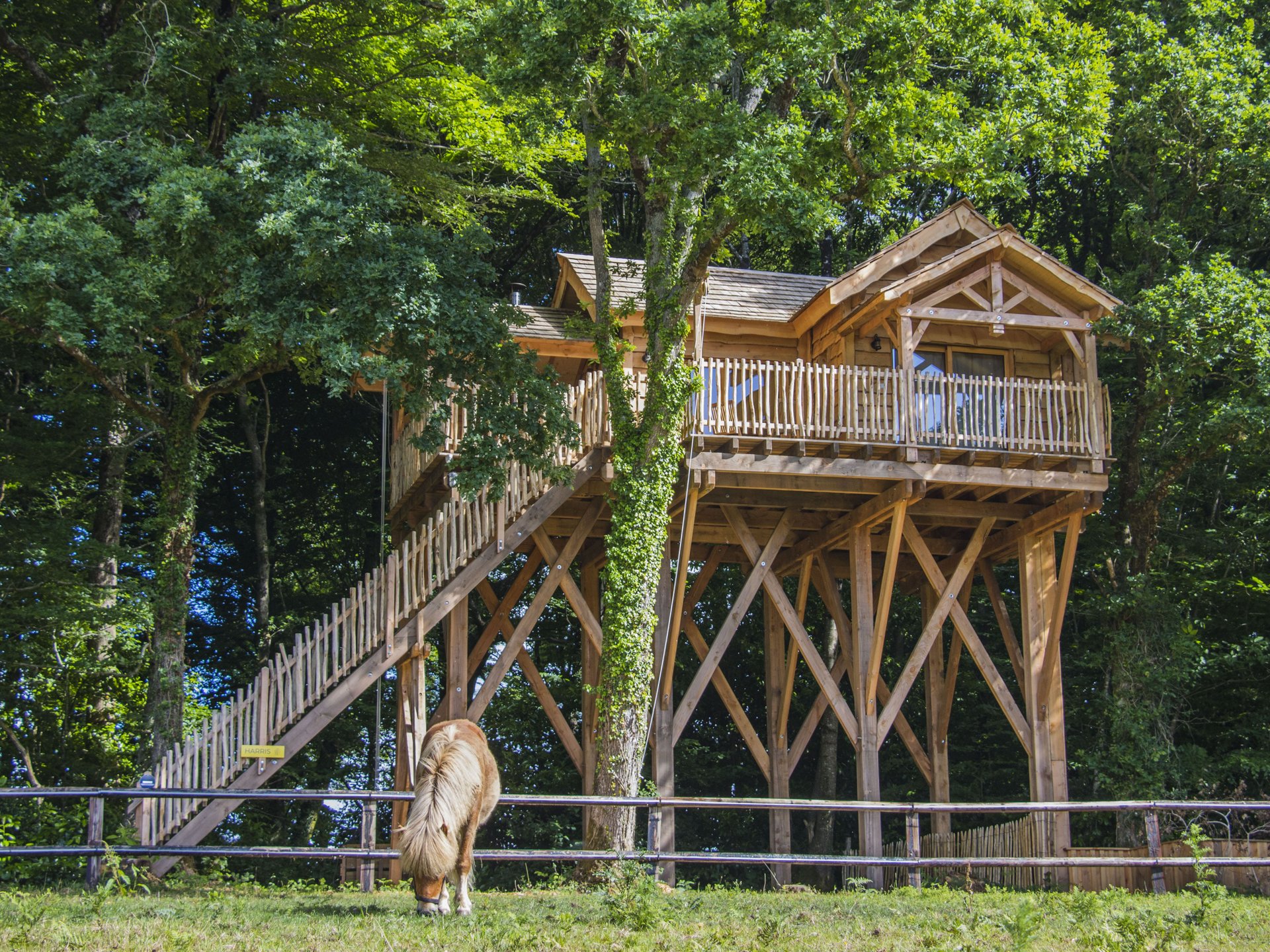 Cabane Spa Harris - Finistère