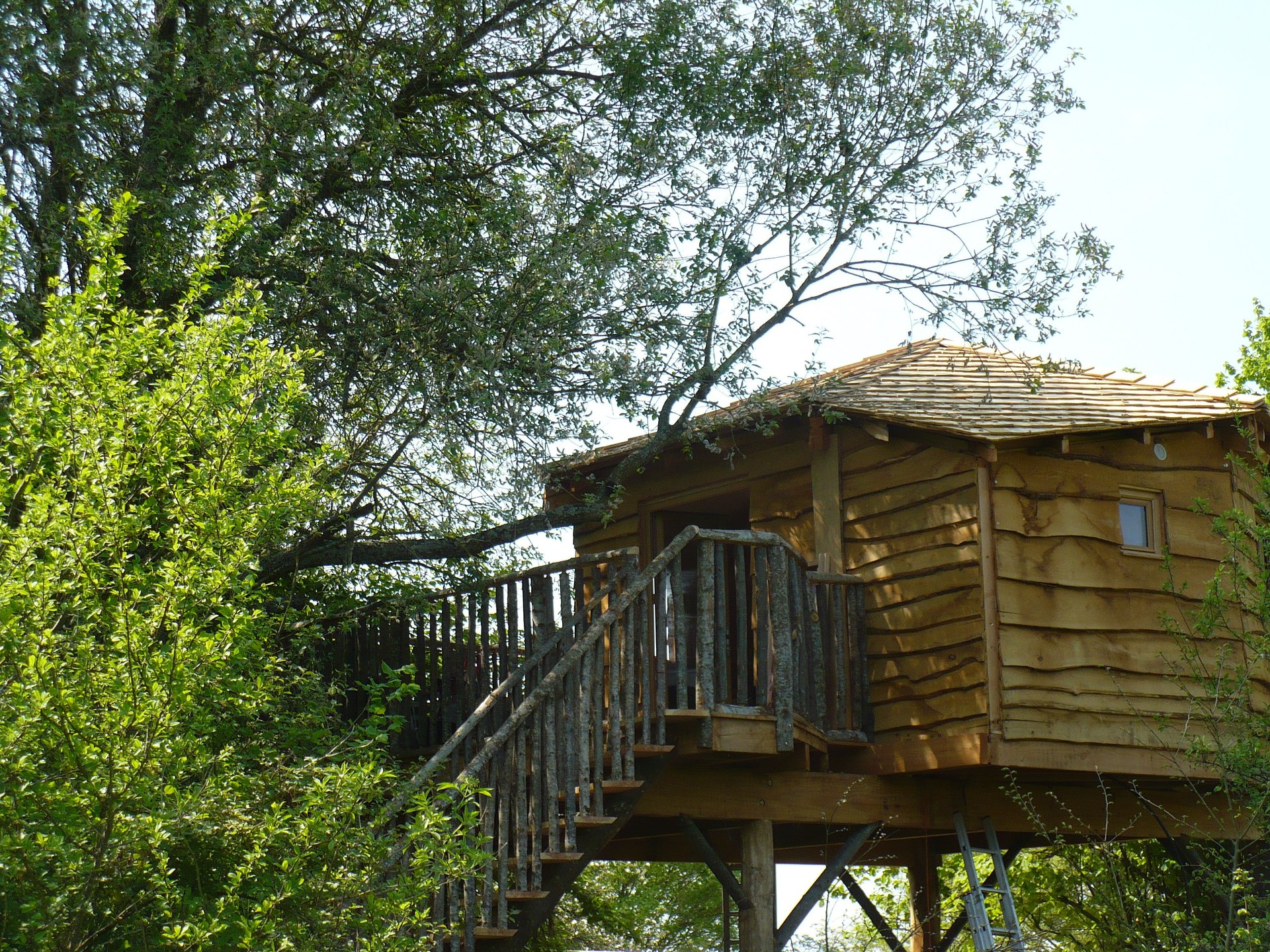 Cabane Ecureuil - Loiret