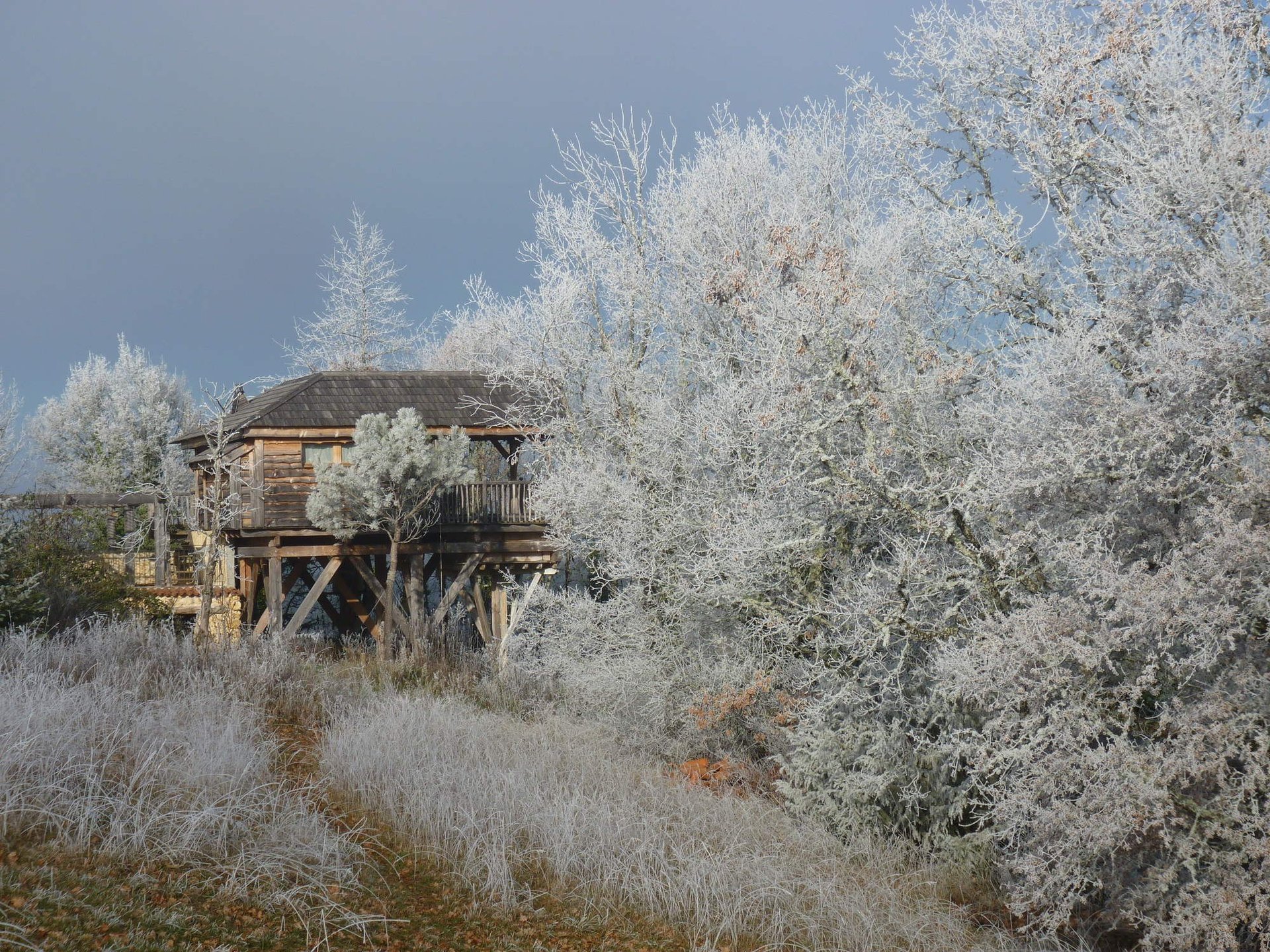 La Cabane-spa Des Figuiers - Dordogne