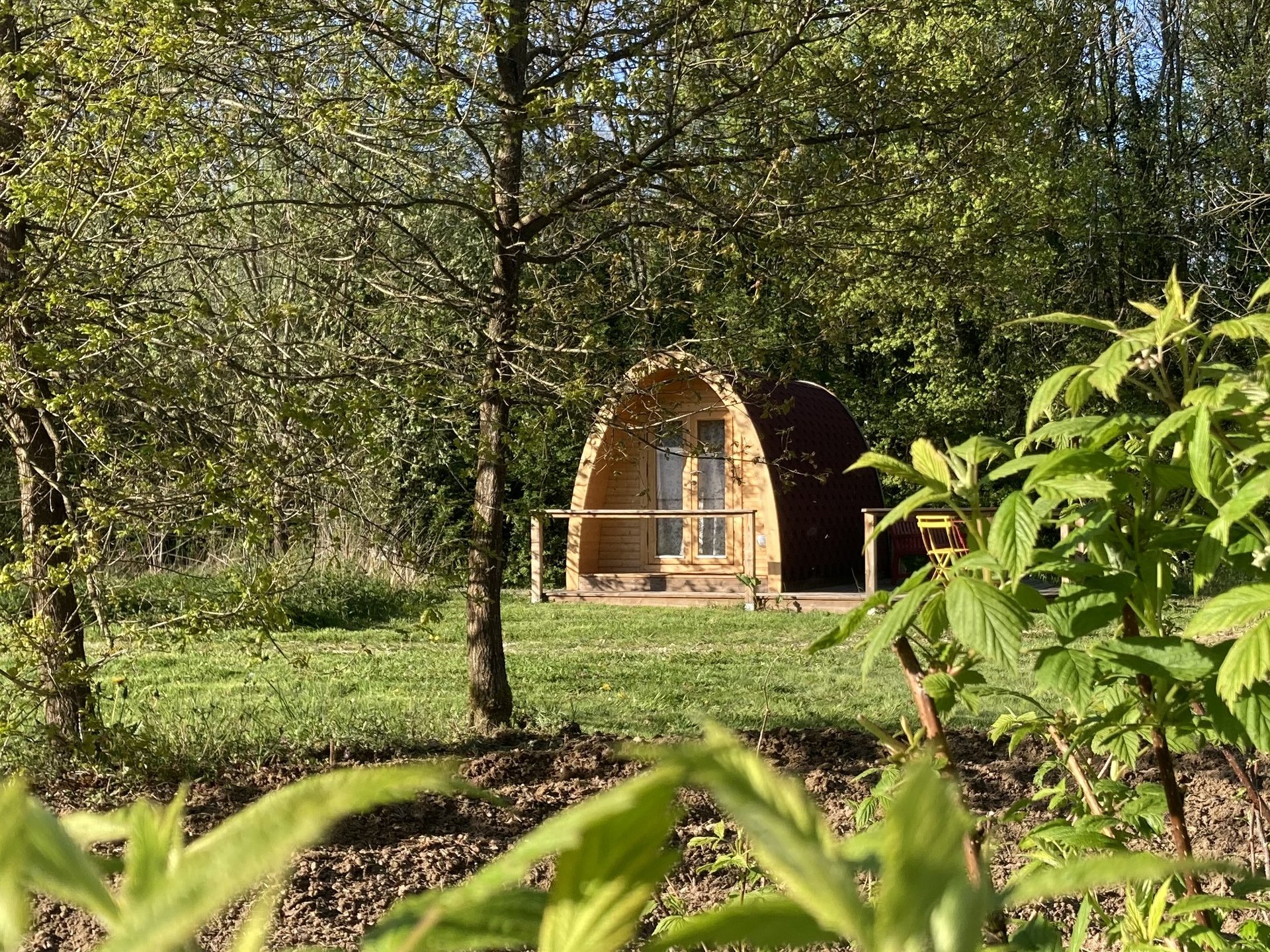 Poppypod - Bourgogne-Franche-Comté
