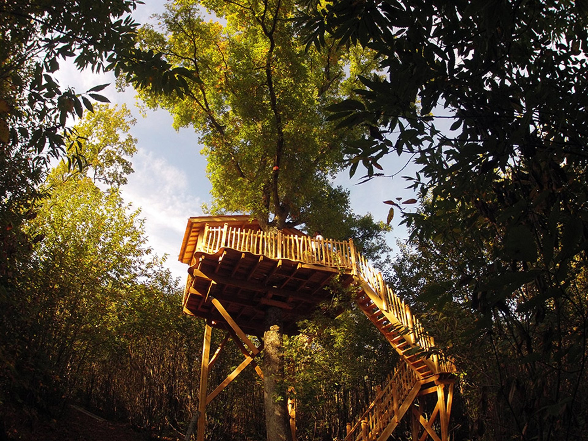 Cabane Escalier - Dordogne