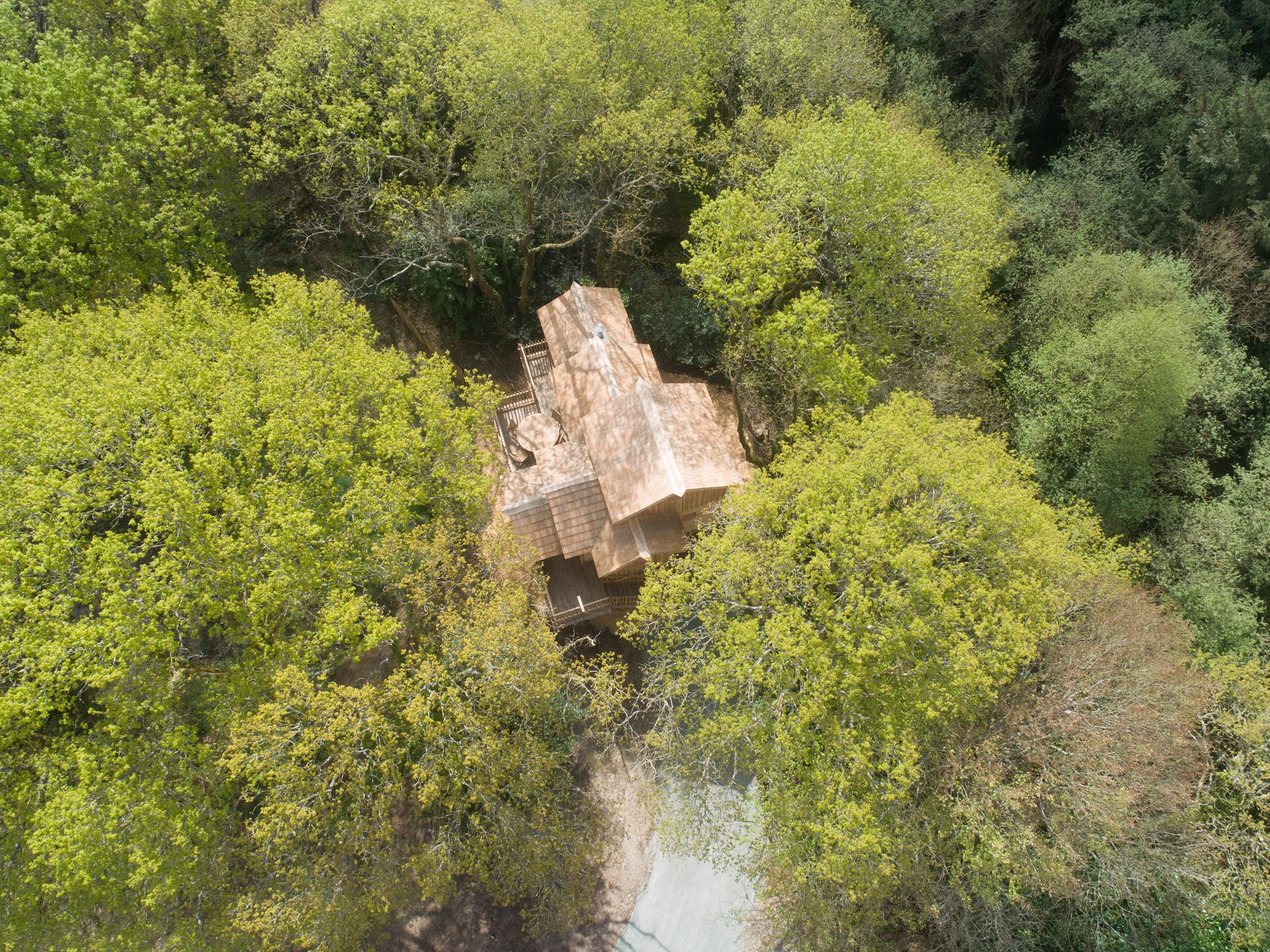 Cabane  Spa Nessie - Finistère