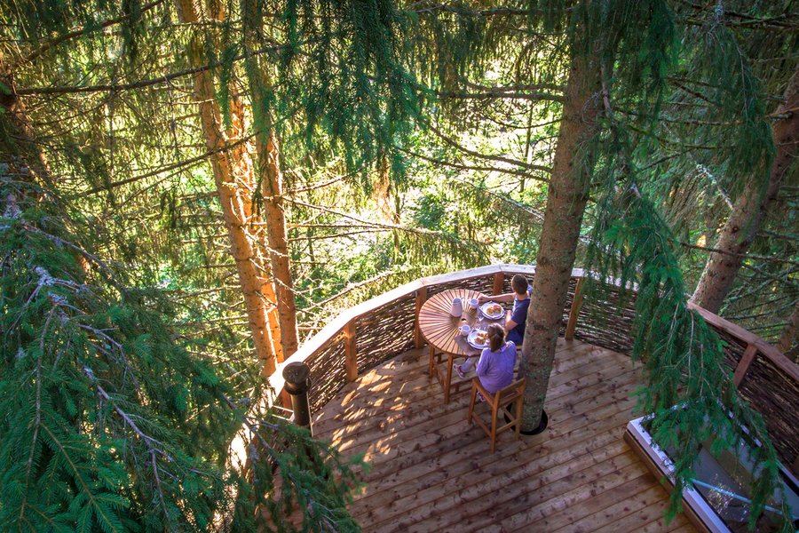 Cabane Nid