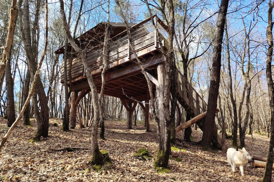 Cabane Murmure De Feuilles – Une Parenthèse Suspendue Au Cœur De La Nature - Drôme