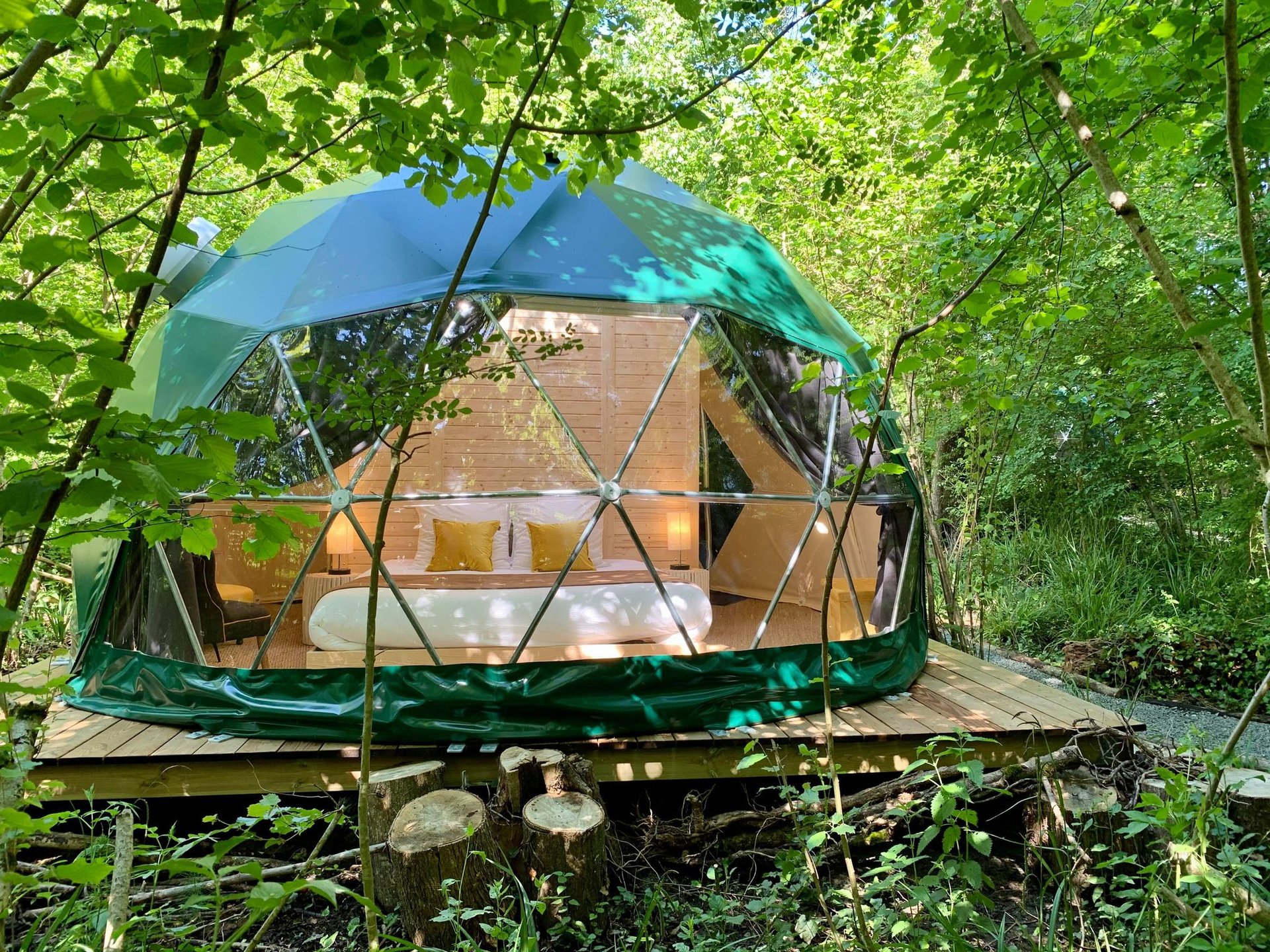 Géode Frêne Doré - Aquitaine