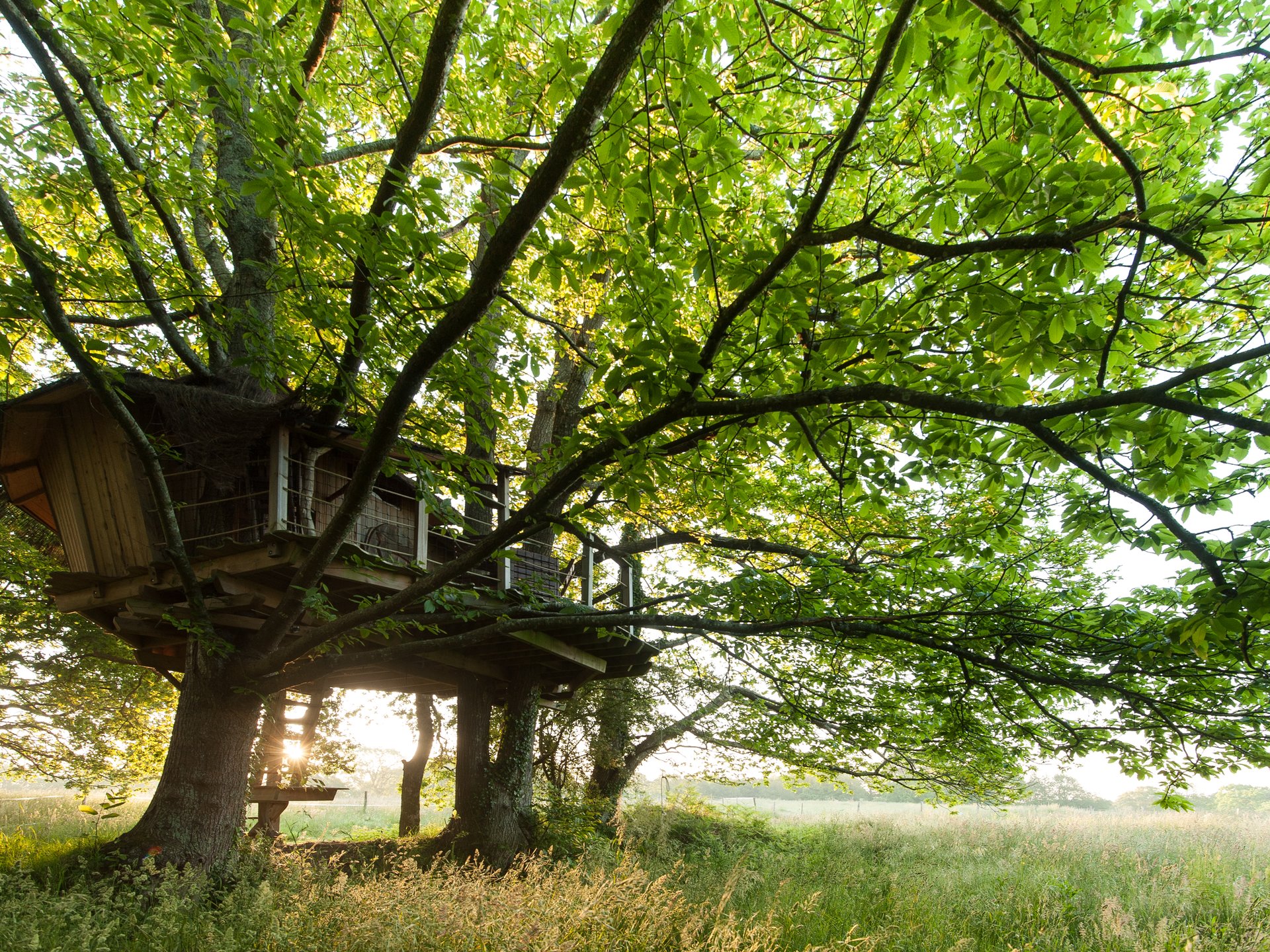 La Cabane Perchée Folenn - Bretagne