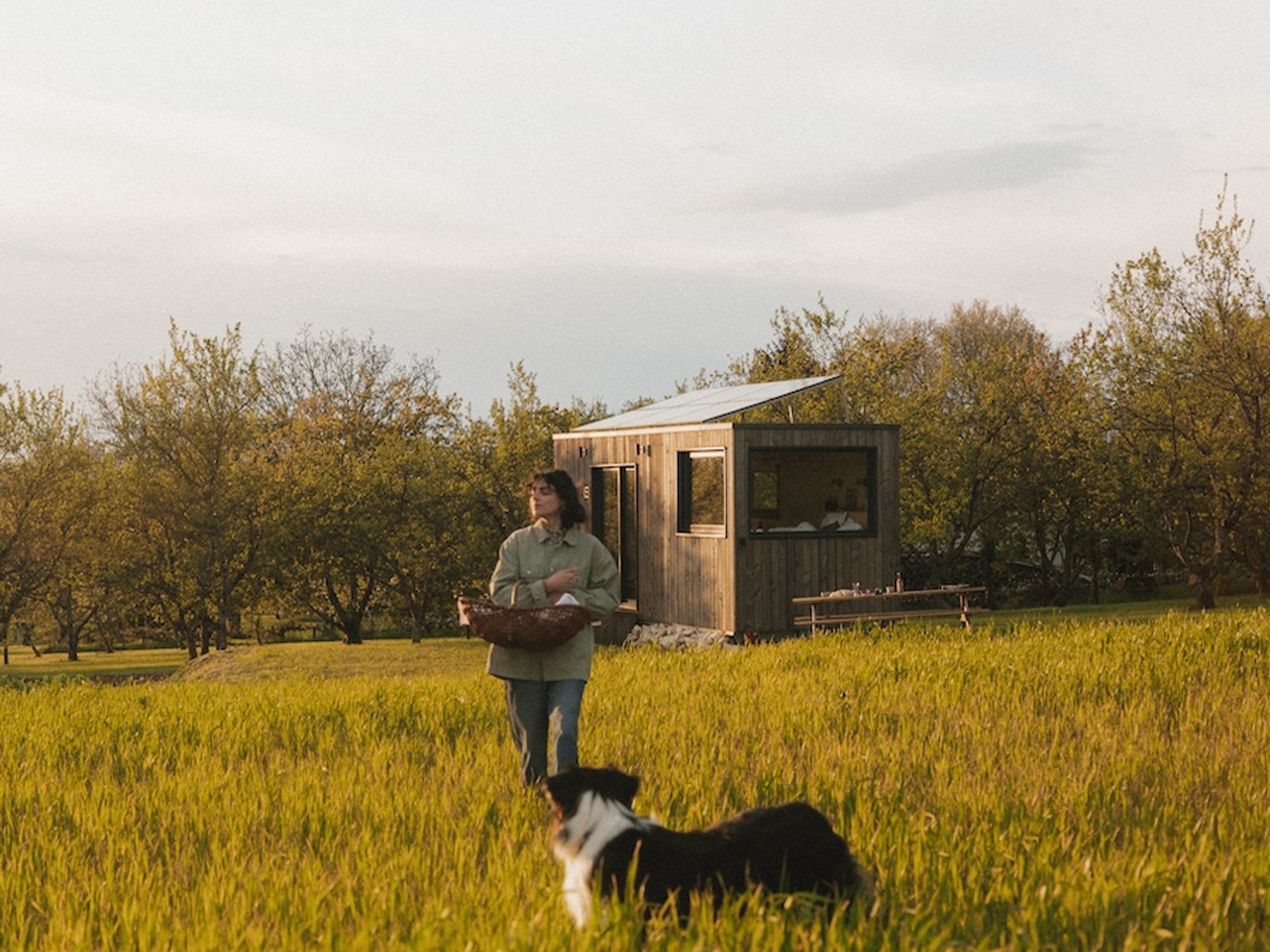 Parcel Tiny House - Dans Un Verger En Lorraine - Lorraine