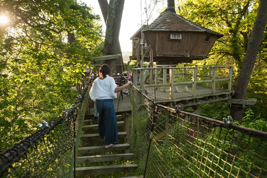 La Cabane perchée Baman - Carnac