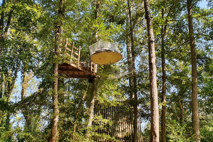 Bulle Haute La Maison Du Rocher - Milly-la-Forêt
