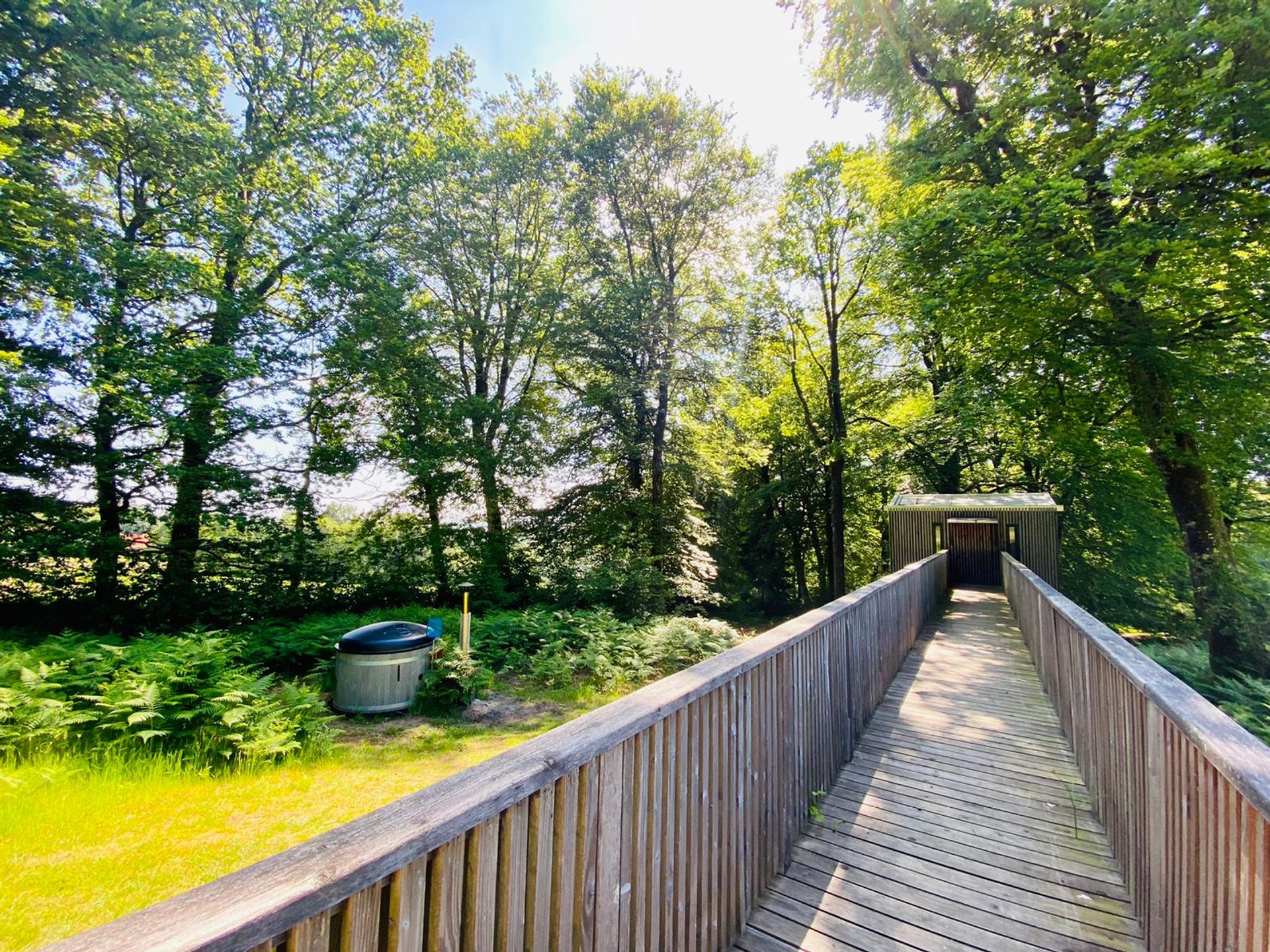 Cabane Spa Dans Les Arbres [Copie] - Normandy