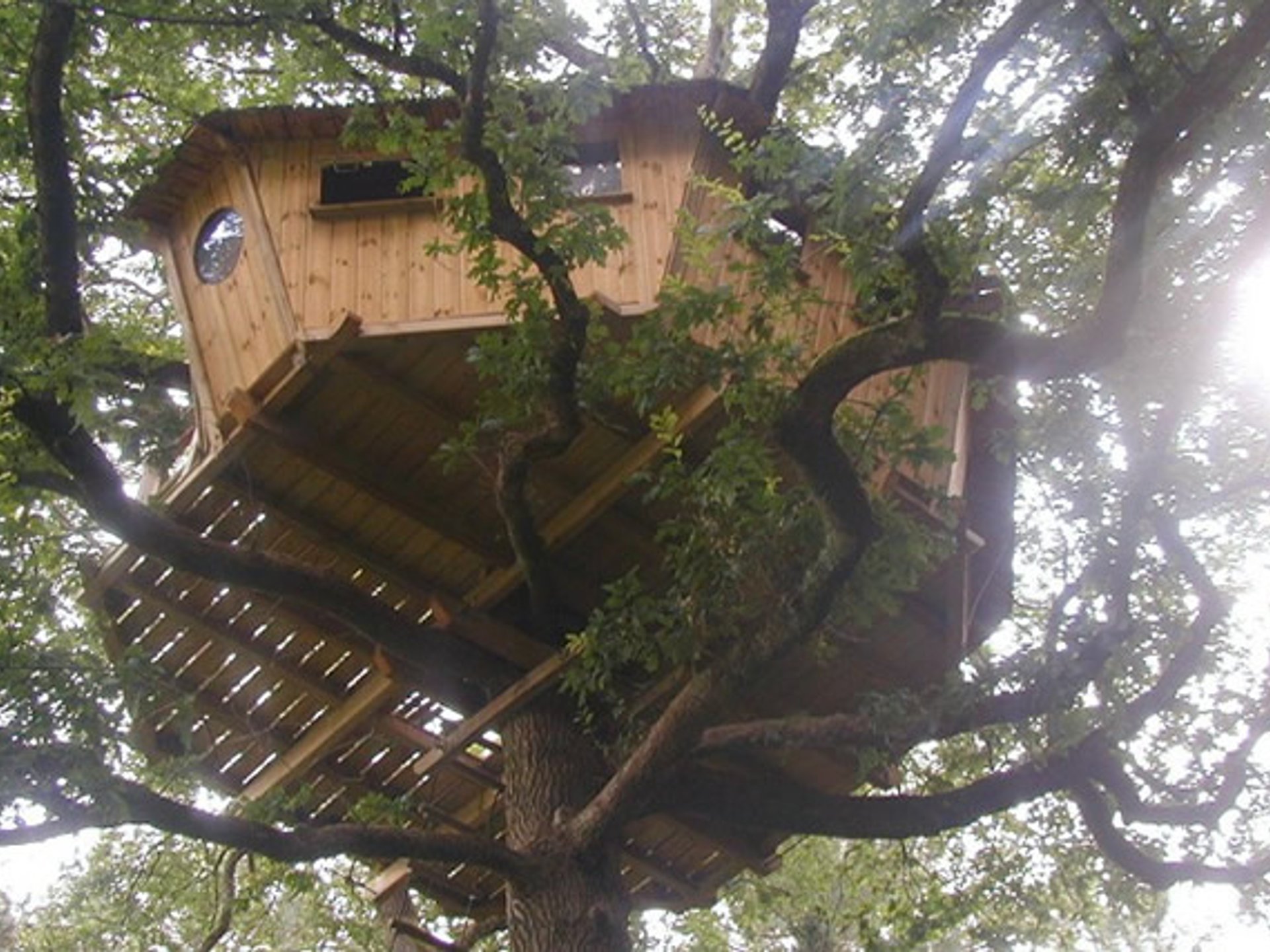 La Cabane Perchée Nijal - Carnac