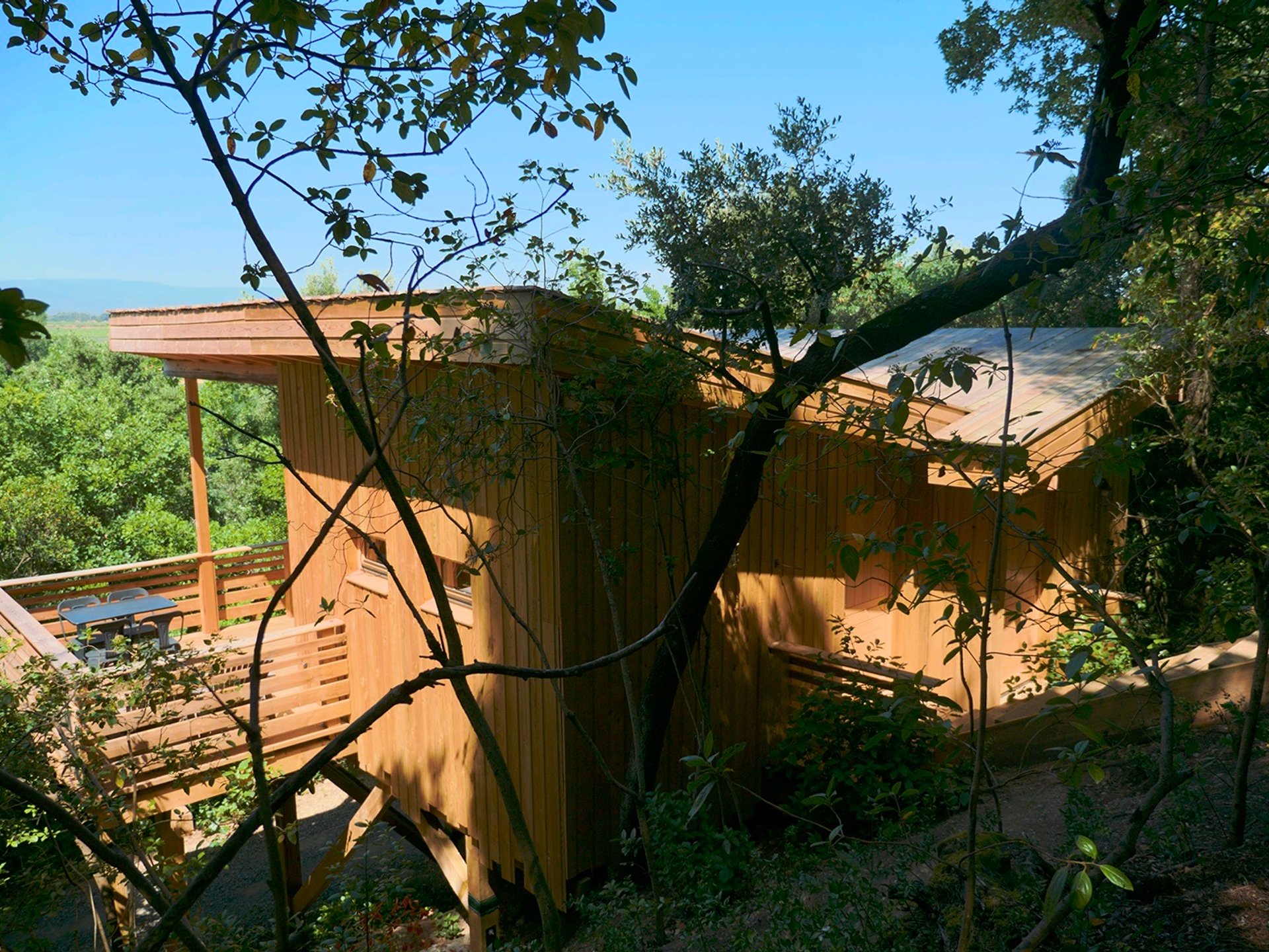 Cabane Chaumine - Aude