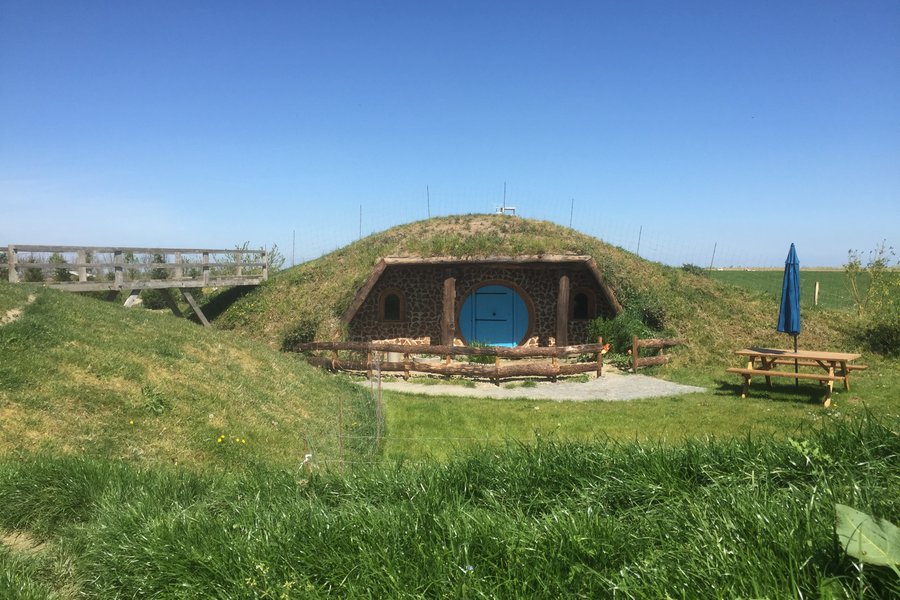 Bois De Bouc - Manche