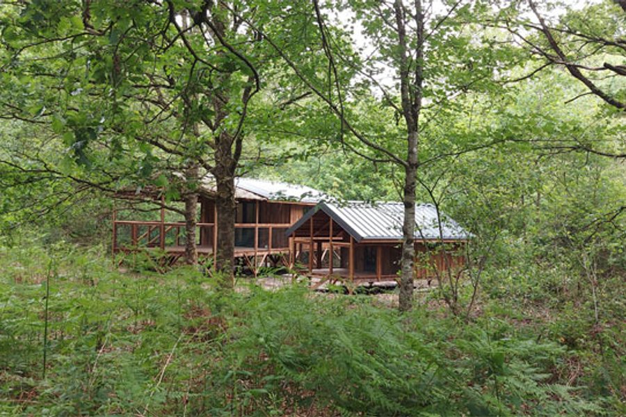 Cabane Cap Town - Deux-Sèvres