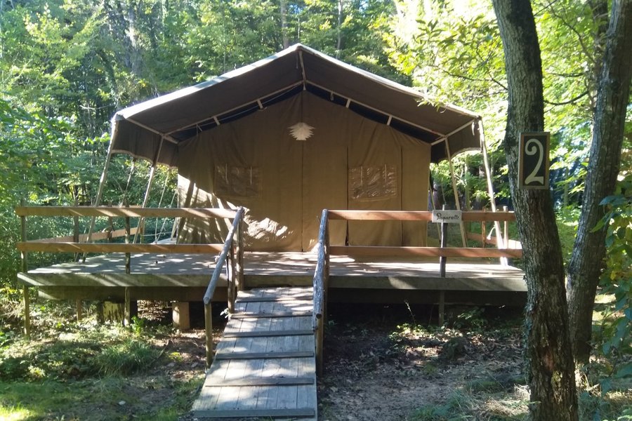 Tente Safari Myosotis (6 Personnes) - Drôme