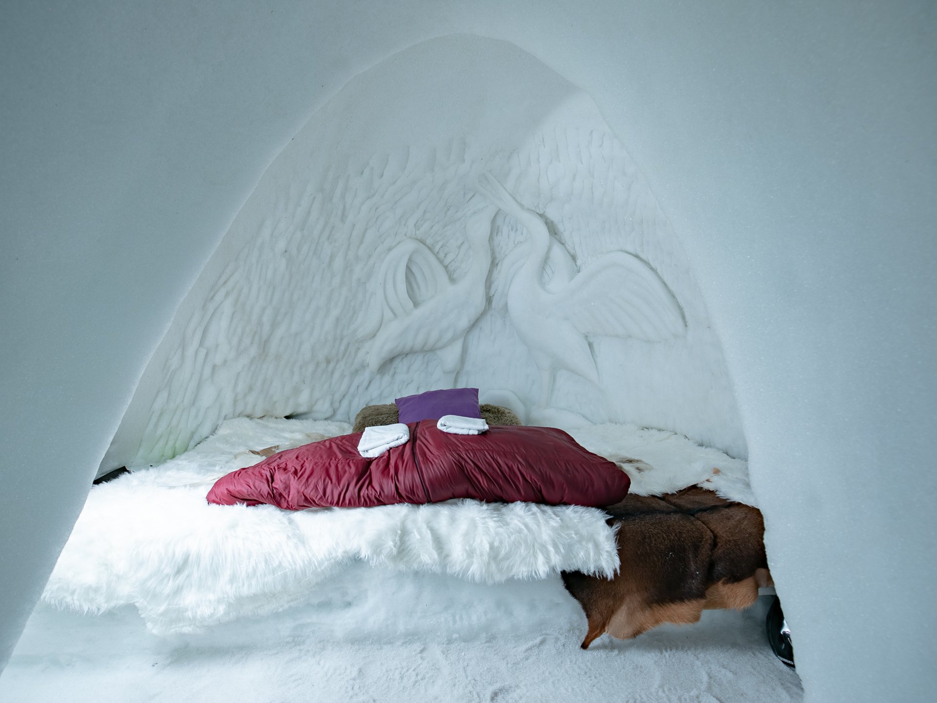 Village Igloo Val Thorens - Modane