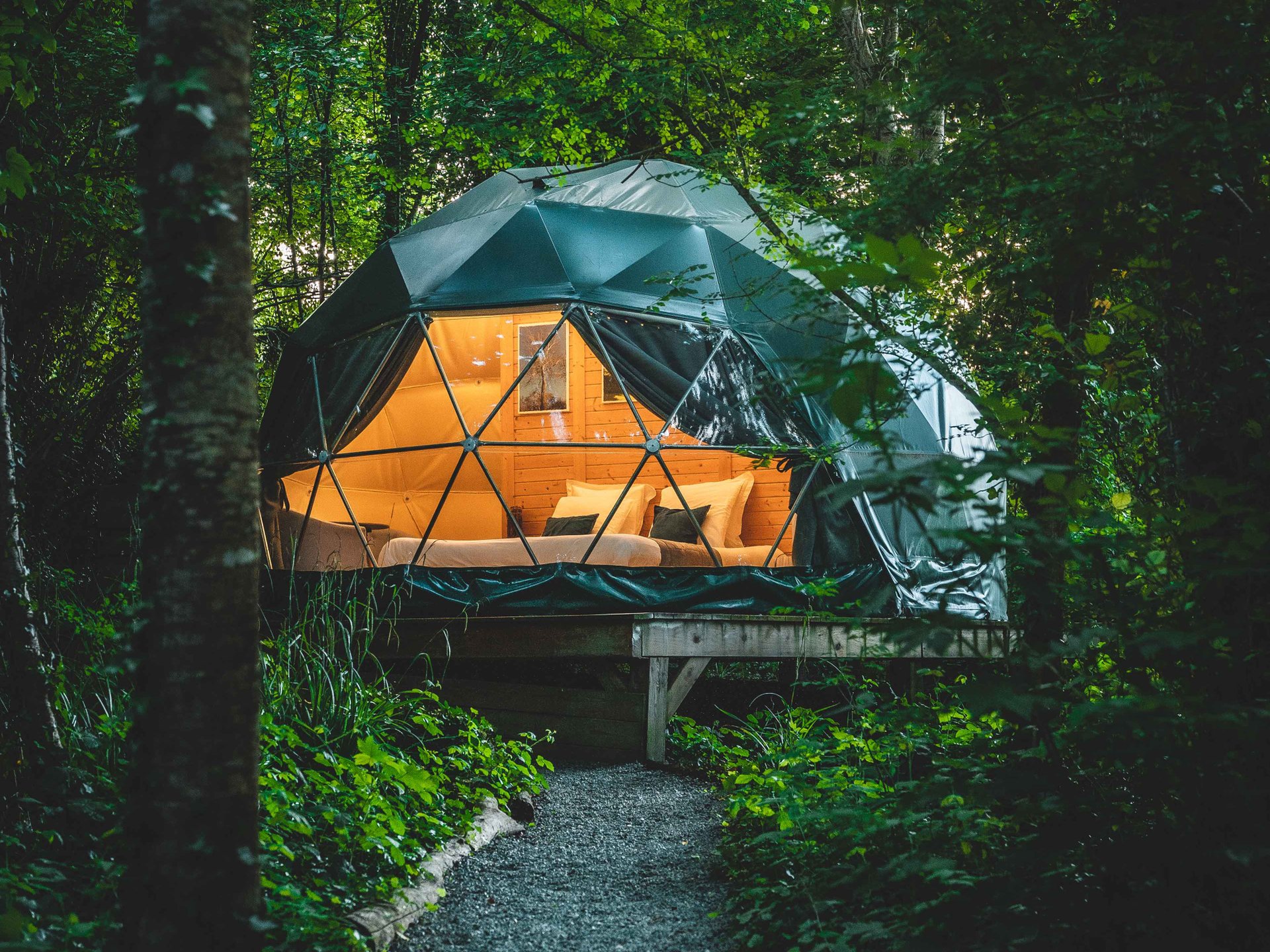 Géode Peuplier Argenté - Gironde