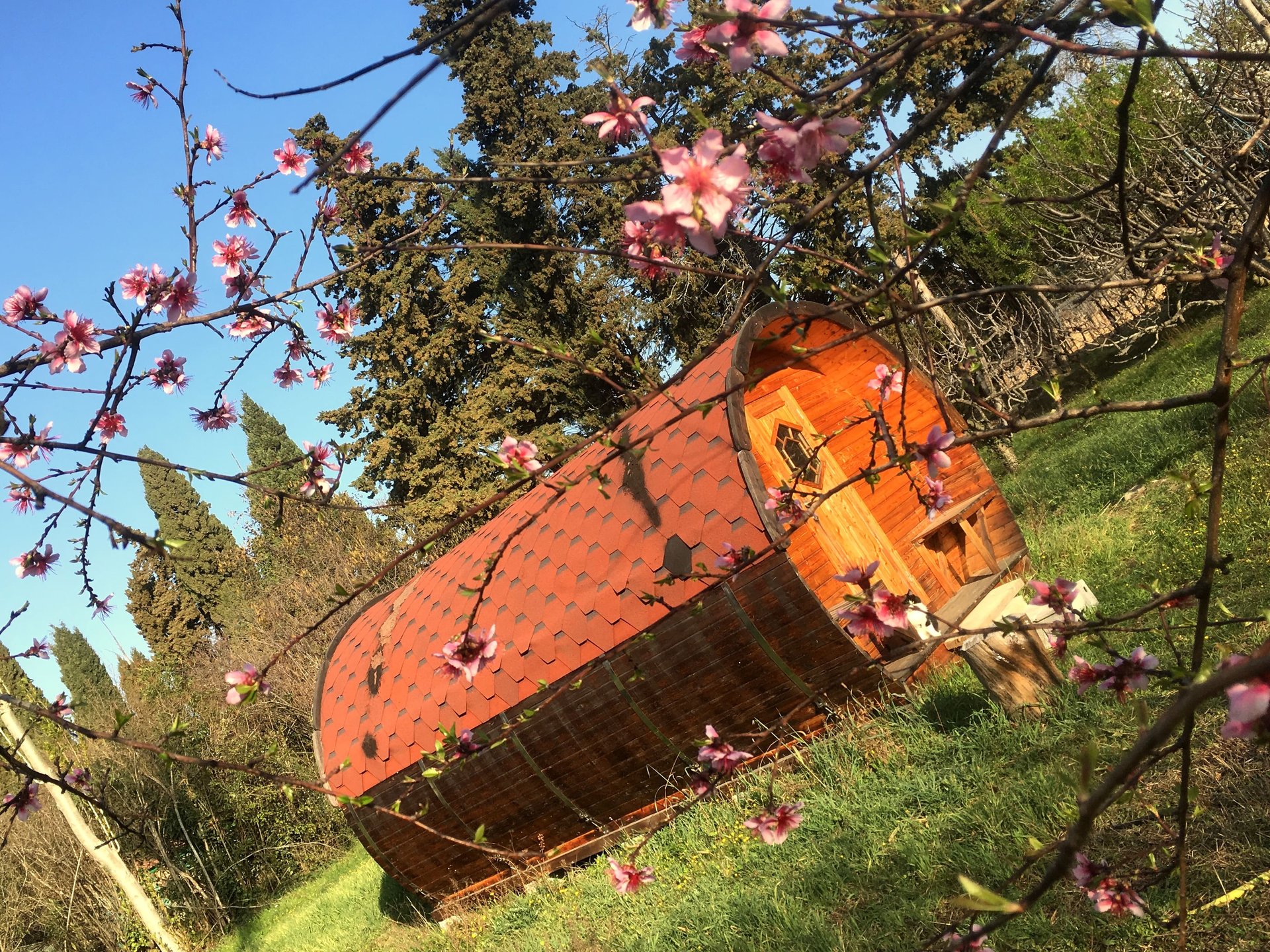Le Tonneau Du Nid'oiselet - Vaucluse