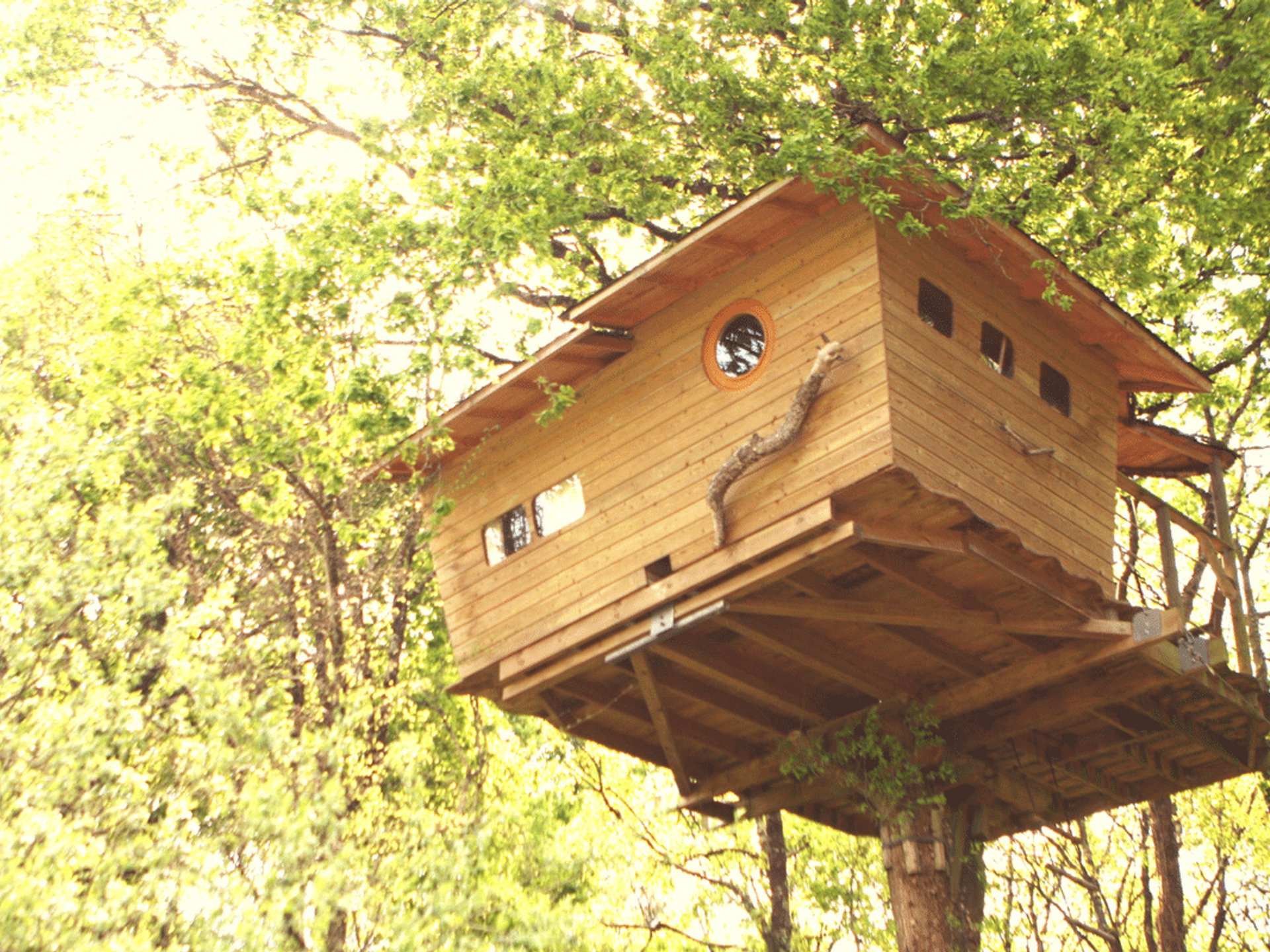 La Cabane Perchée Neh Er Lenn - Ploemel