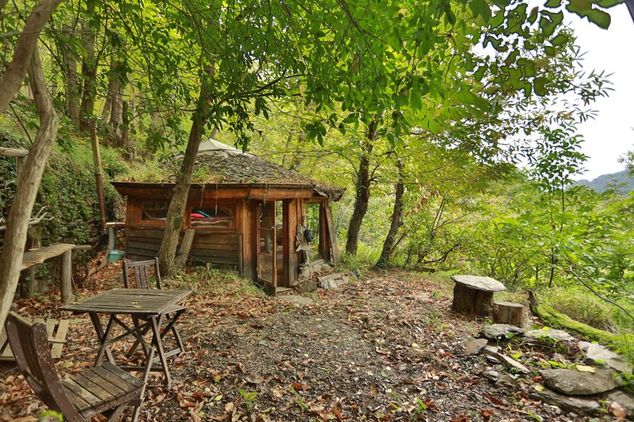 Petite Cabane Dans Les Bois - Gard