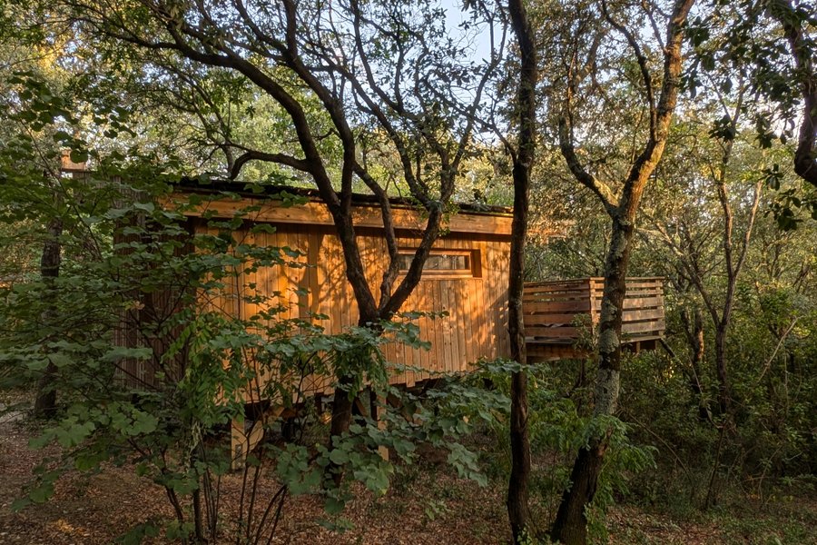 Cabane Cagna - Carcassonne