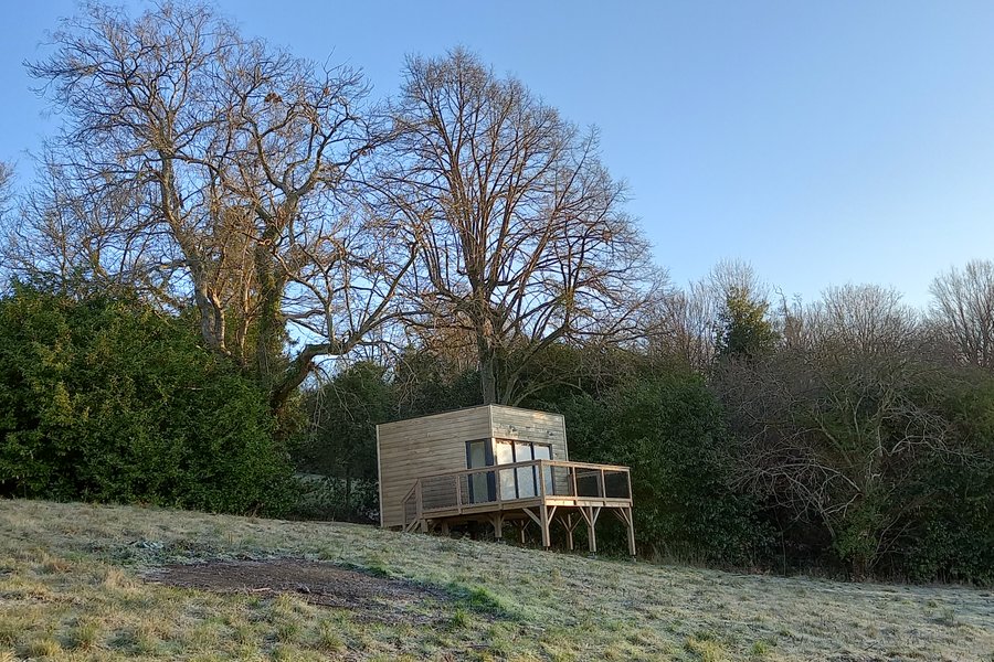 La Cabane De L'ecureuil - Montmirail