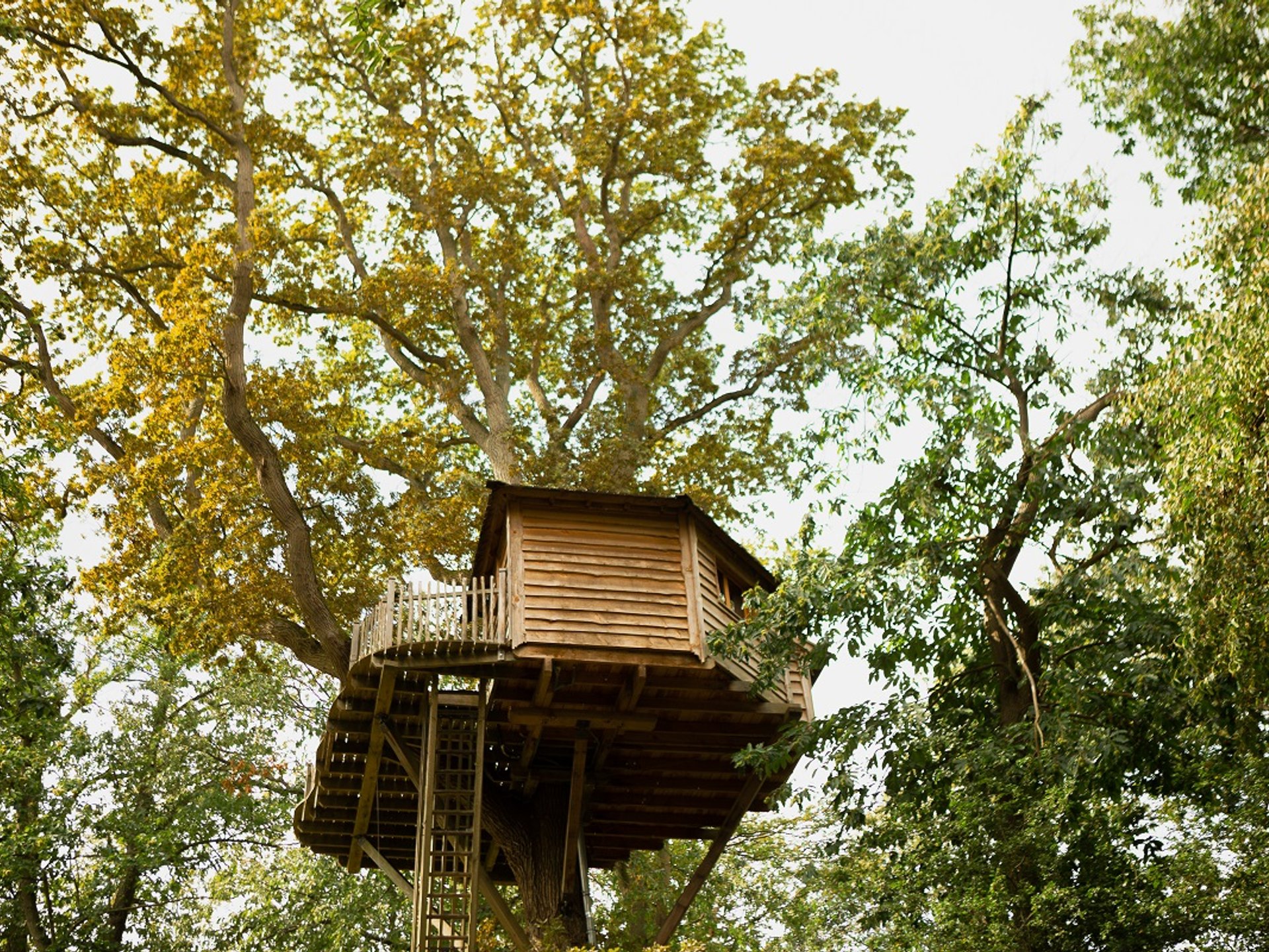 Cabane Imprenable - Oise