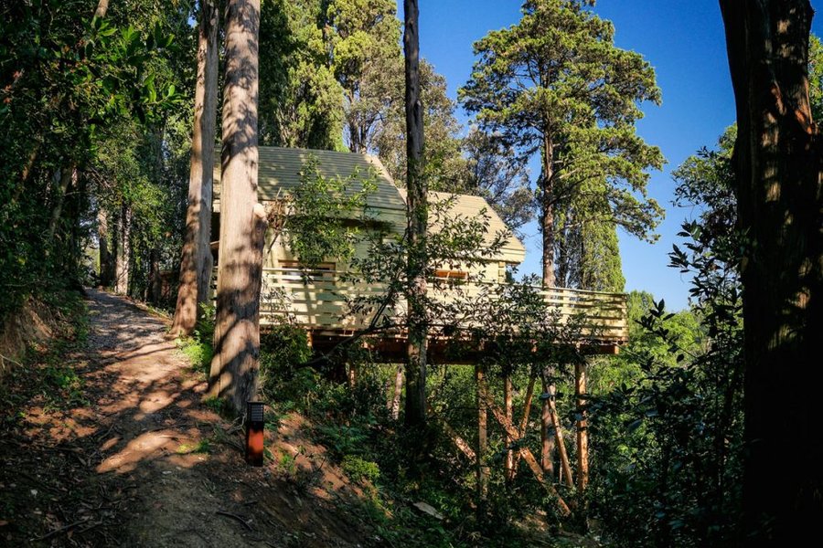 Cabane Cahute D - Carcasona