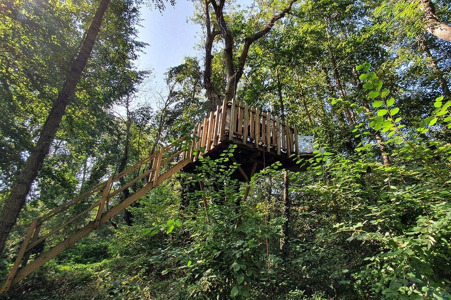 Bulle Mi-hauteur La Maison Du Rocher - Milly-la-Forêt