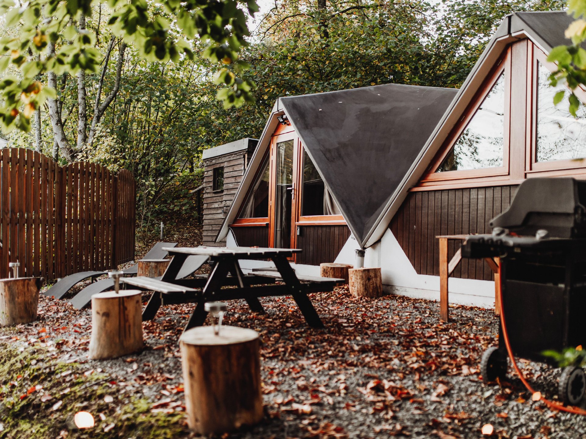 In The Woods - Chalet Tropical - Gesves