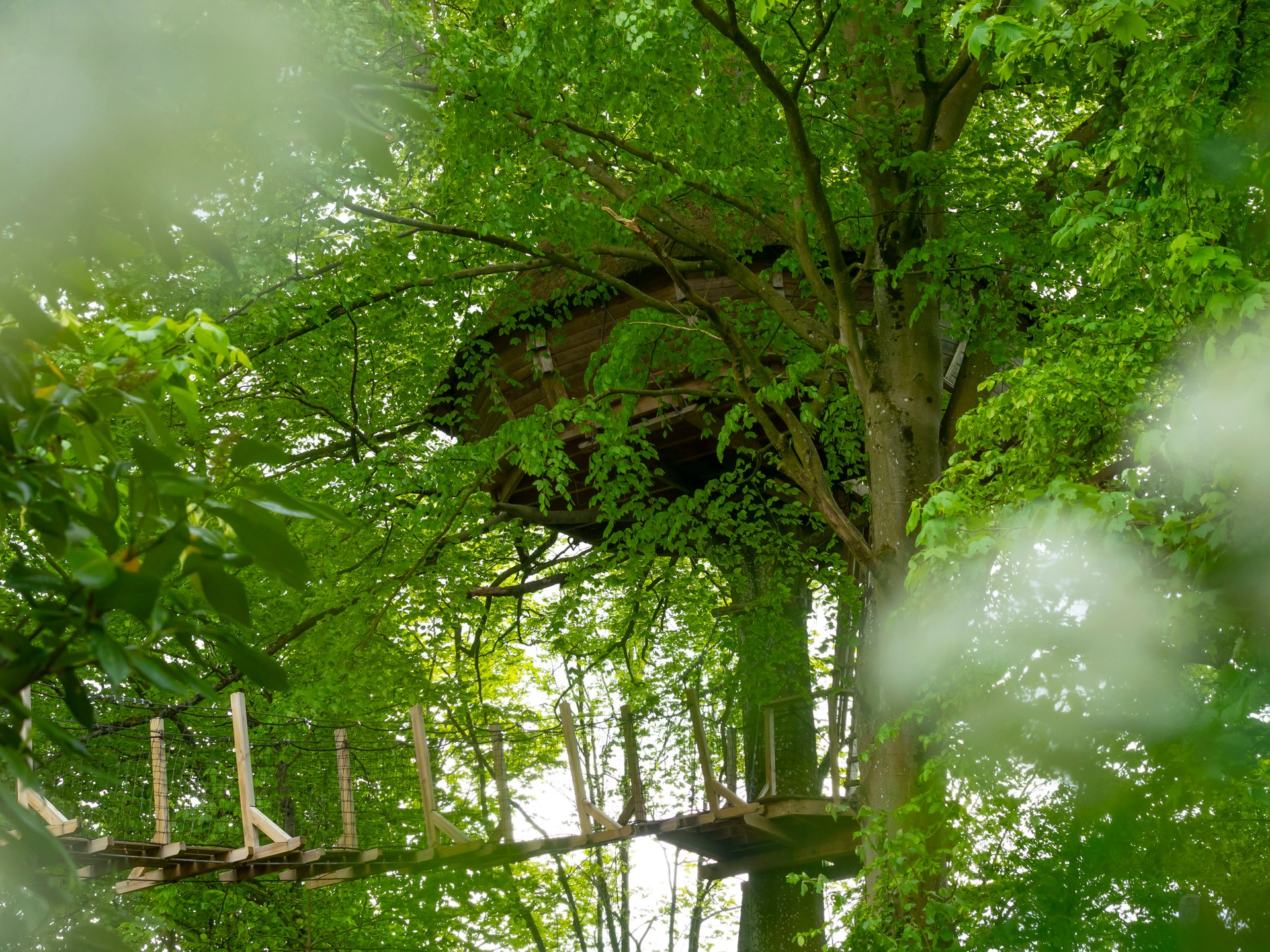La Cabane Haut-perchée & Spa & Sauna - Pas-de-Calais