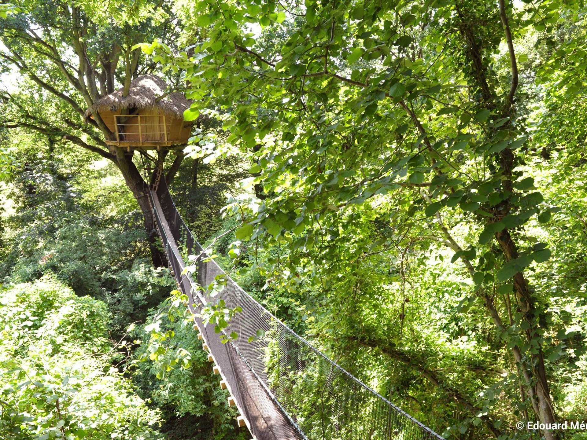 Vieux Chêne - Normandía