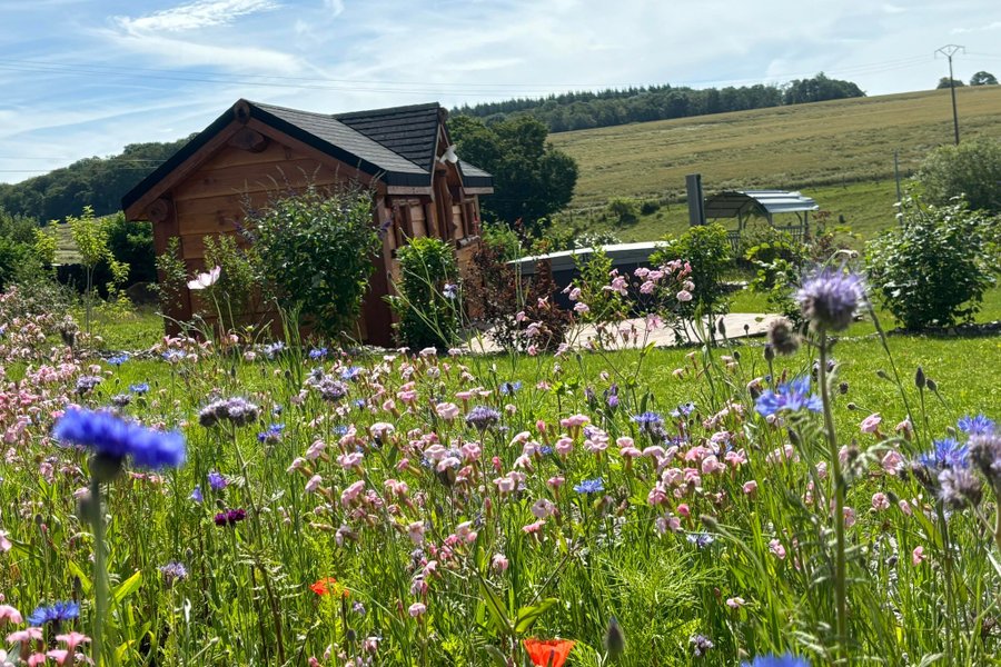 La Petite Bicolia & Spa - Haute-Marne