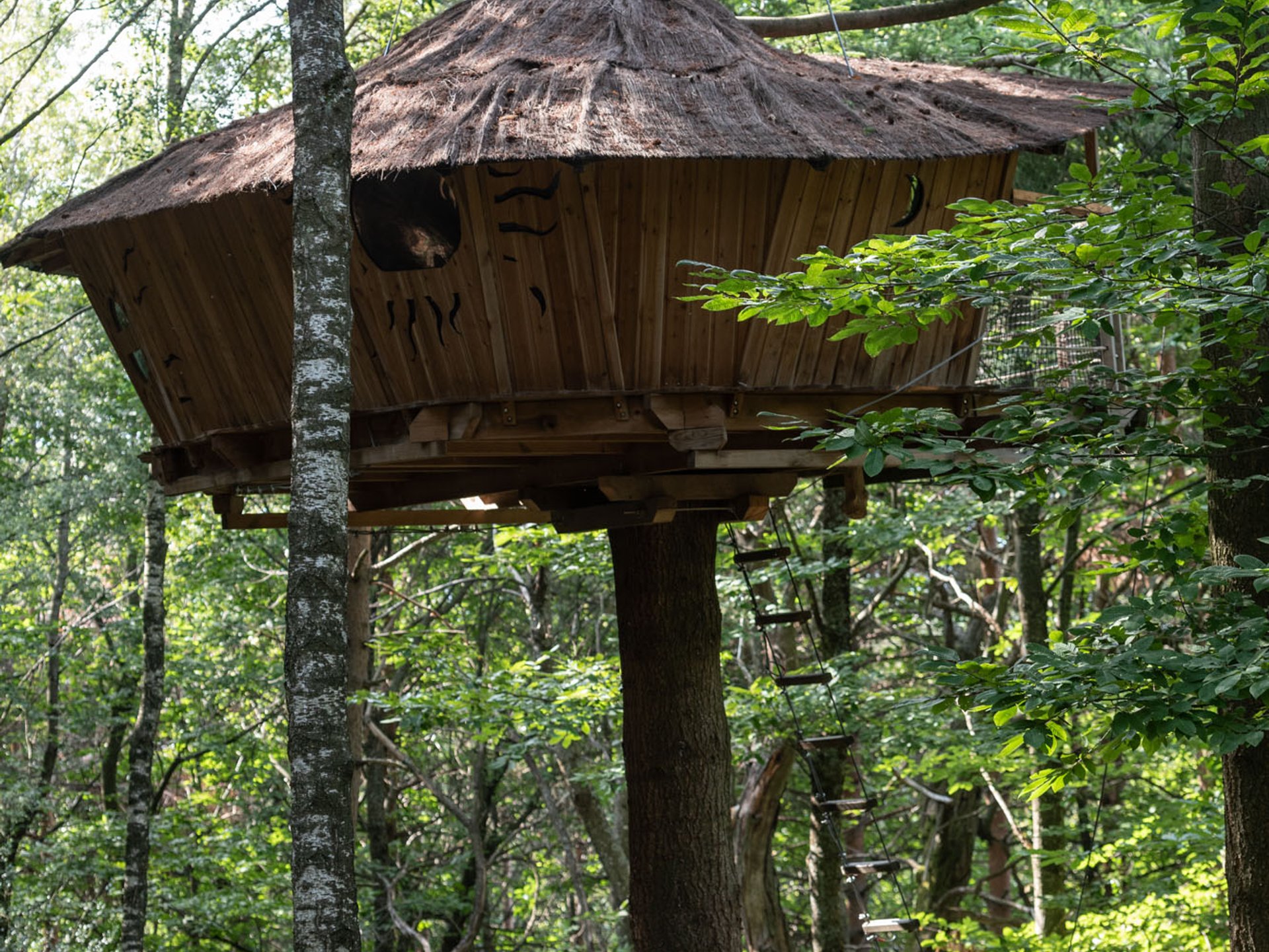 Cabane Hibou - Ardèche