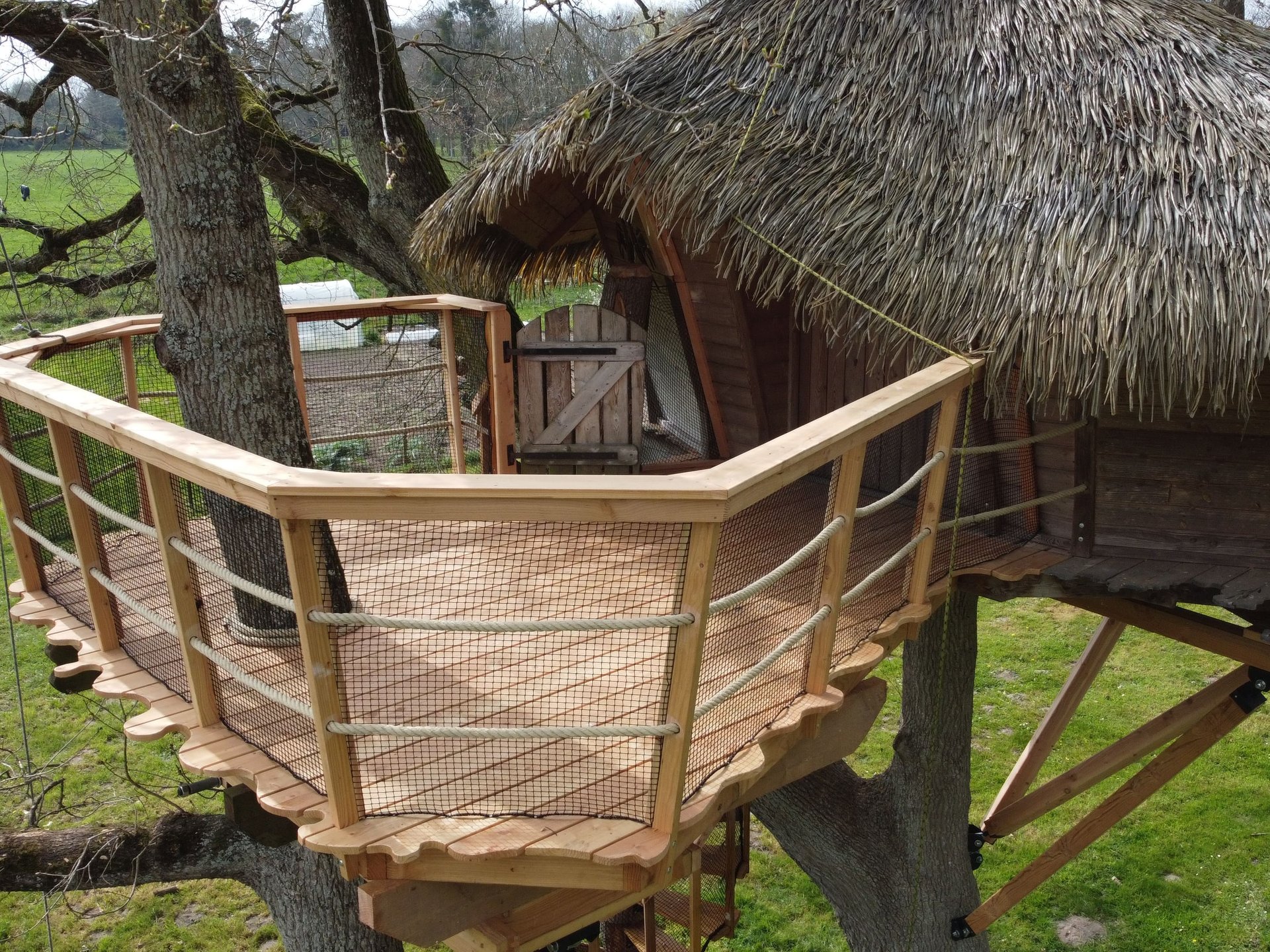 Dam'oiseaux - Manche