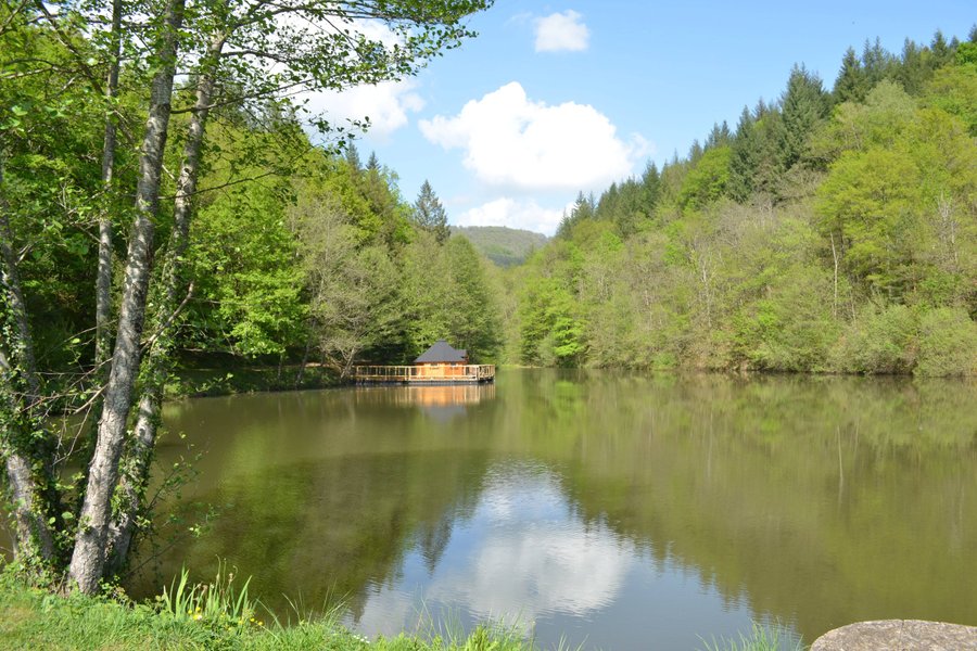 Cabane Flottante Libellule - Aveyron