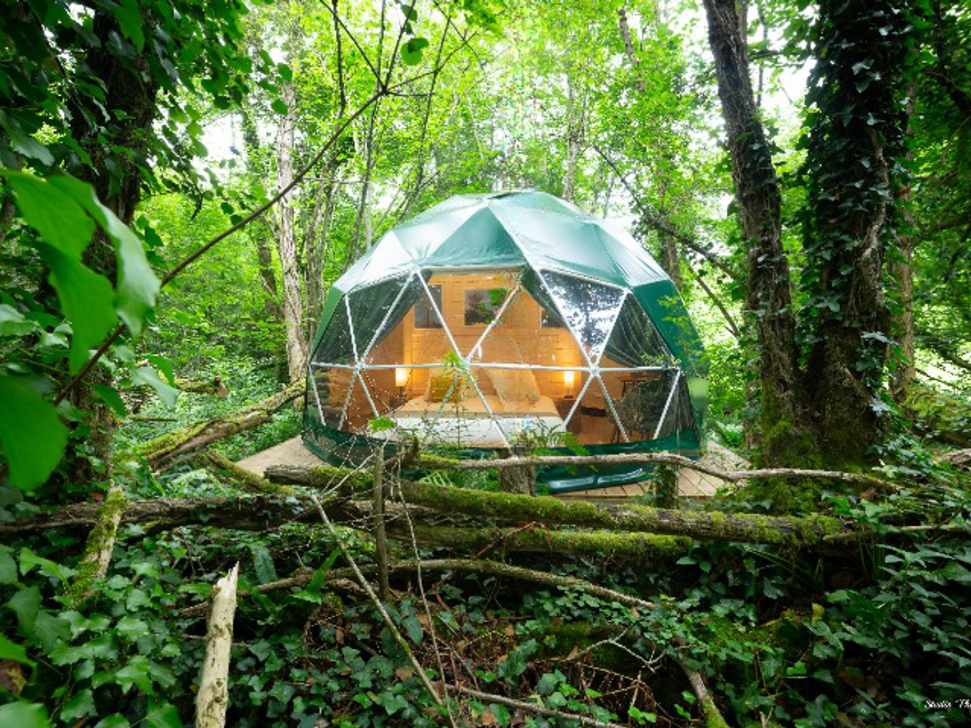 Géode Chêne Emeraude - Gironde