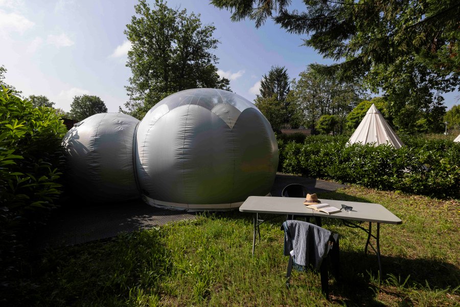Bulle Fleur Du Jour - Île-de-France