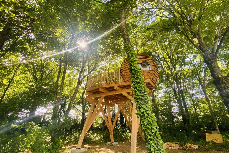 La Tête Dans Les éToiles - Bretagne