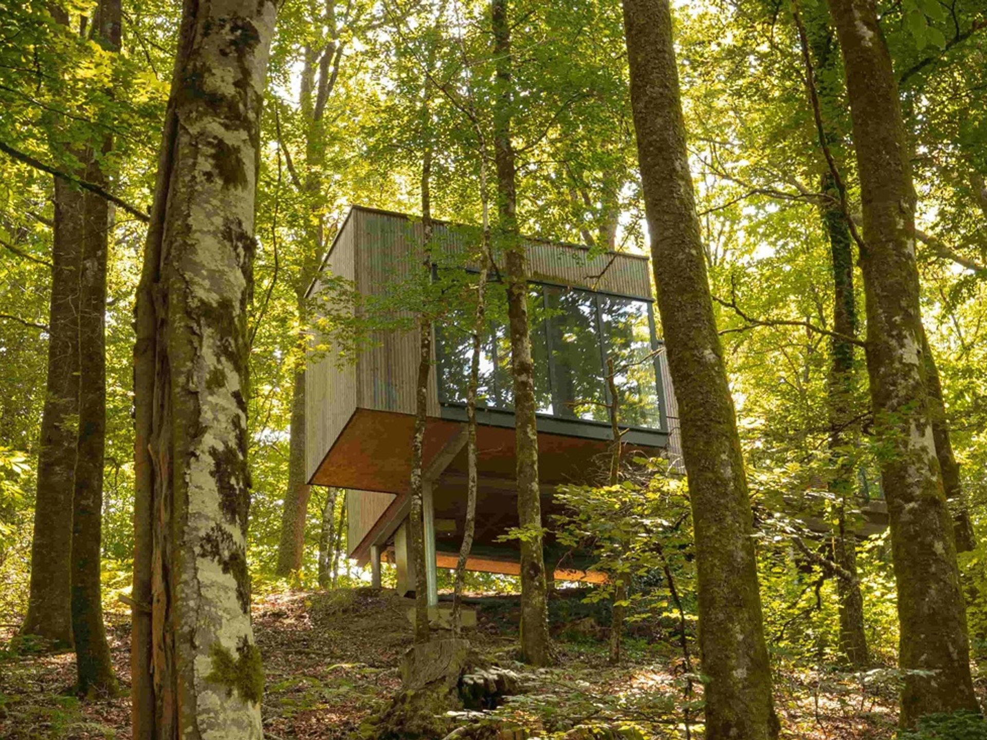 Cabane Cèdre - Corrèze