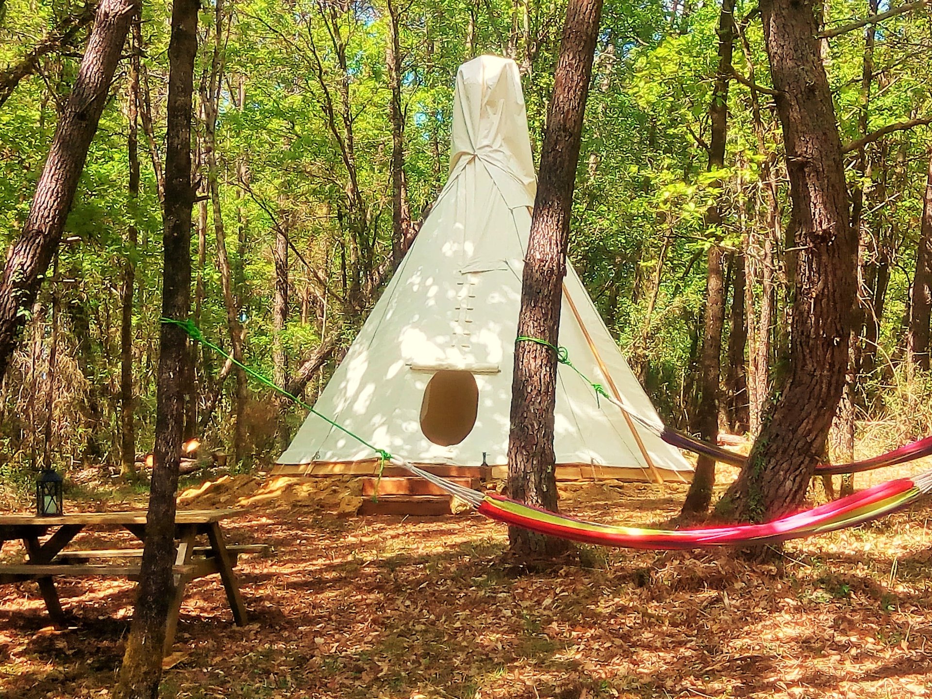Magnifique Chalet En Rondin En Foret Avec Spa En Pleine Nature - Dordogne