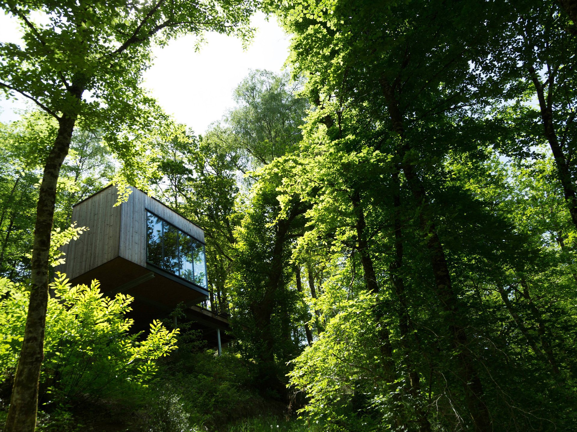 Cabane Pin - Corrèze