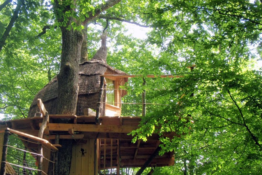 Cabane Canopée - Jura