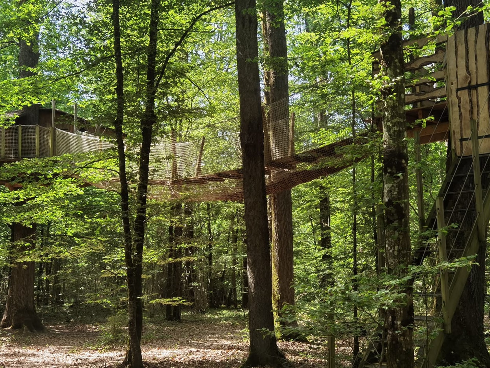 Cabane Champignon - Marne