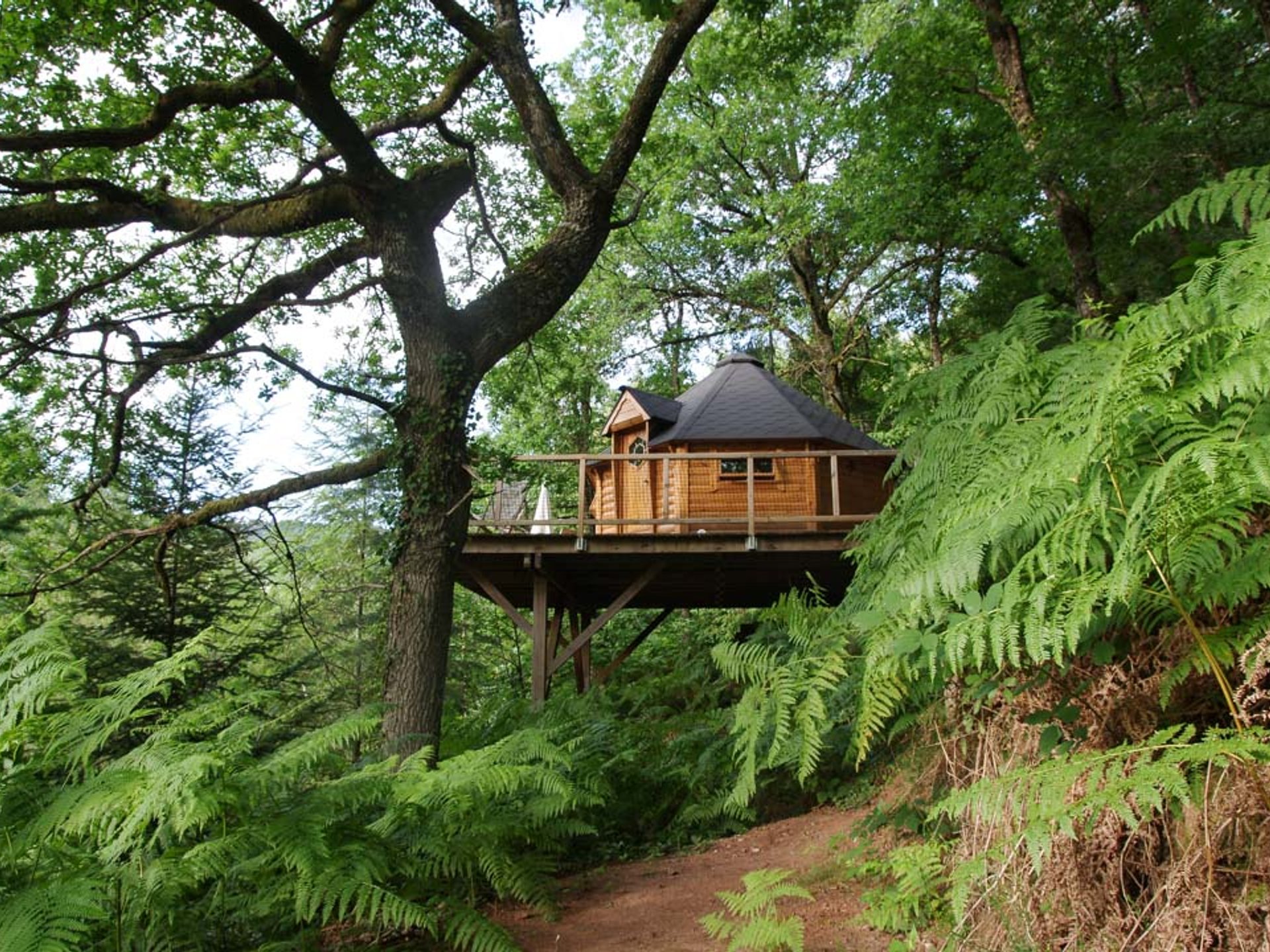 Cabane Perchée L'hirondelle - Aveyron