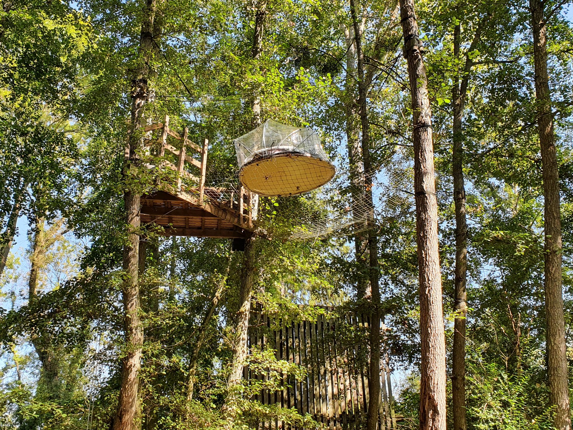 Bulle Haute La Maison Du Rocher - Milly-la-Forêt