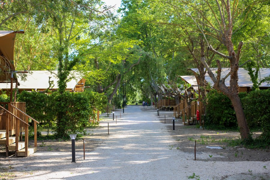 Lodge Safari 6 Personnes 38m² - Villeneuve-lès-Avignon
